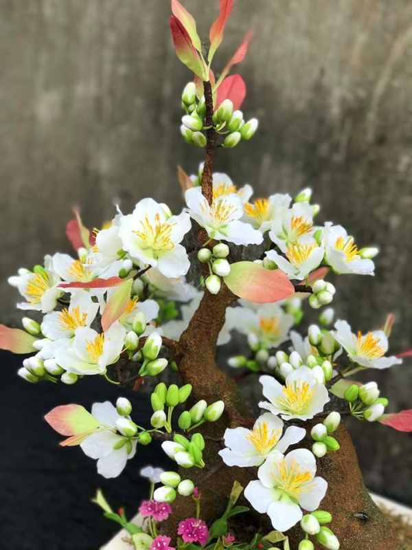 333+ Hình Ảnh Cây Hoa Bạch Mai Quý Hiếm